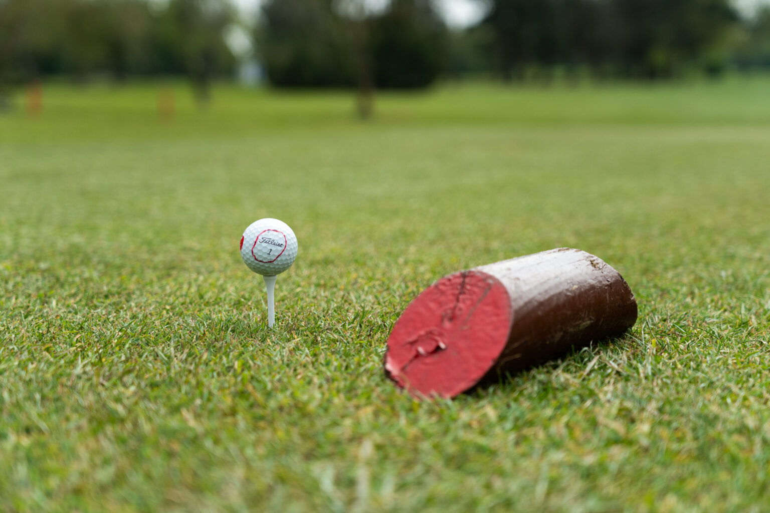 Donabate Golf Club – Donabate Golf Club – Celebrating 100 Years in 2025